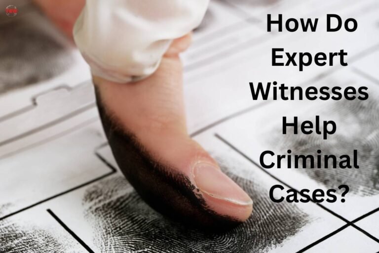 How Do Expert Witnesses Help Criminal Cases? | The Enterprise World
