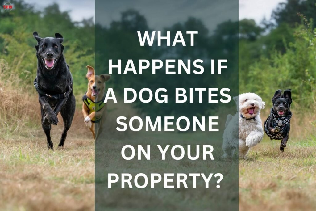 Dog Bite Incidents on Your Property: 3 Types of Damages | The ...