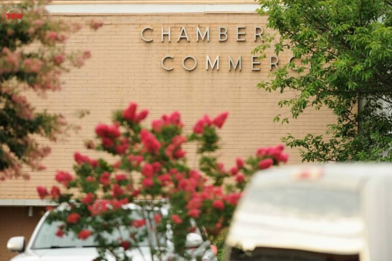 Understanding Chamber of Commerce in 2024 | The Enterprise World
