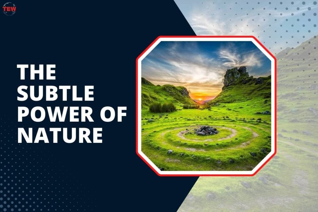 The Subtle Power of Nature | The Enterprise World