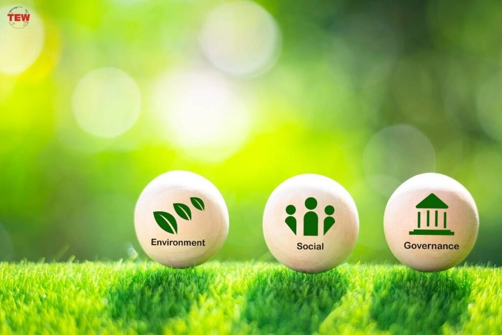 What Are Sustainable Swaps and How Do They Help? | The Enterprise World