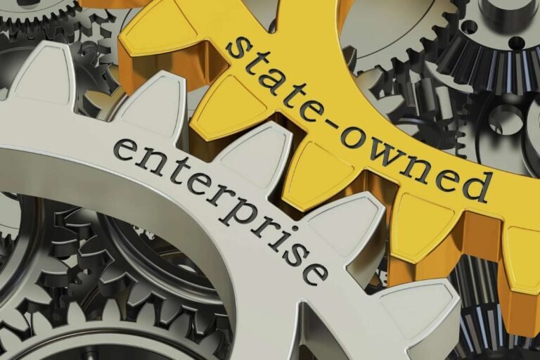 What Are State-Owned Enterprises? Meaning, Role, and Examples | The ...