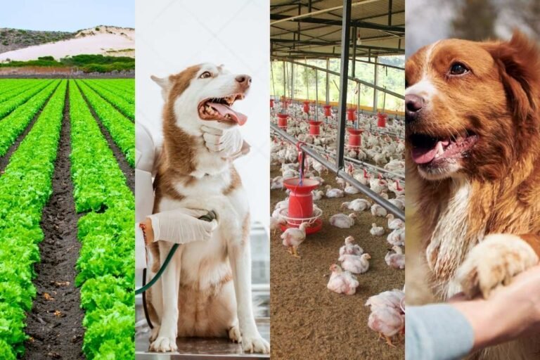 Global Agriculture and Animal Health Events 2025-26 | The Enterprise World